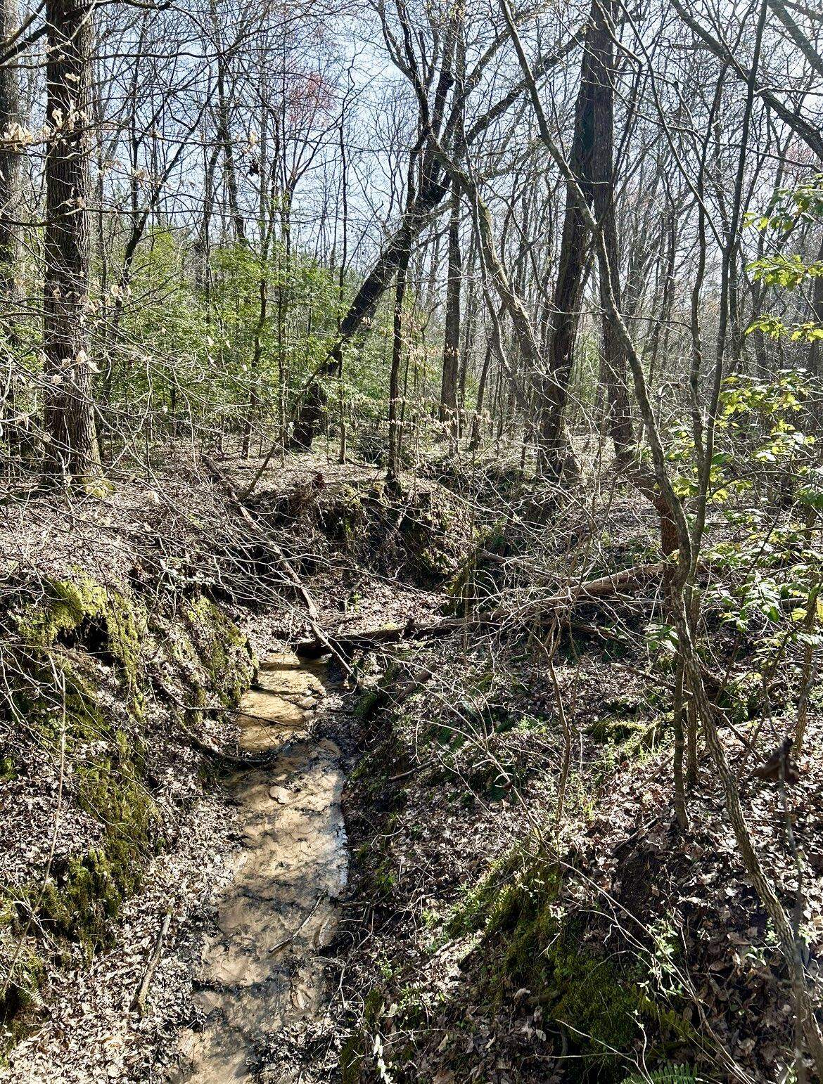 0 HINES GIN RD, SELMER, TN 38375 – Justin Johnson Realty