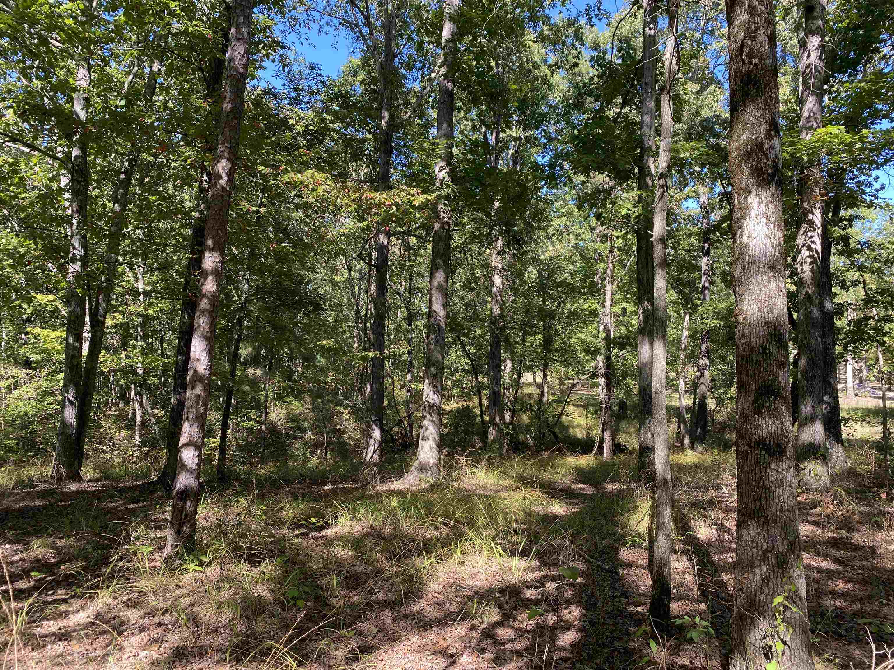 1 LAKEWAY LN, SAVANNAH, TN 38372 – Justin Johnson Realty